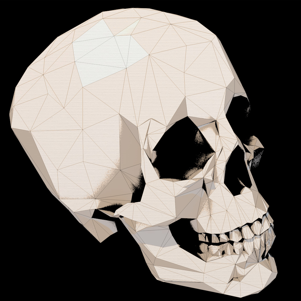 Skull